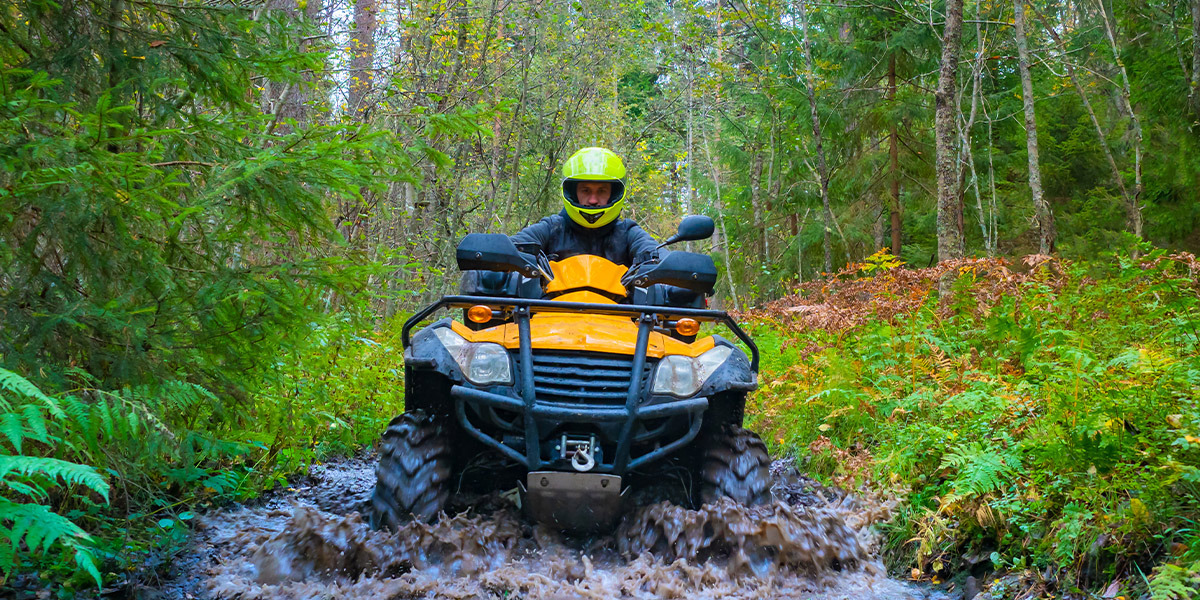 11 of the Best States for Off-Roading – Updated for 2023 - ATV Trader Blog