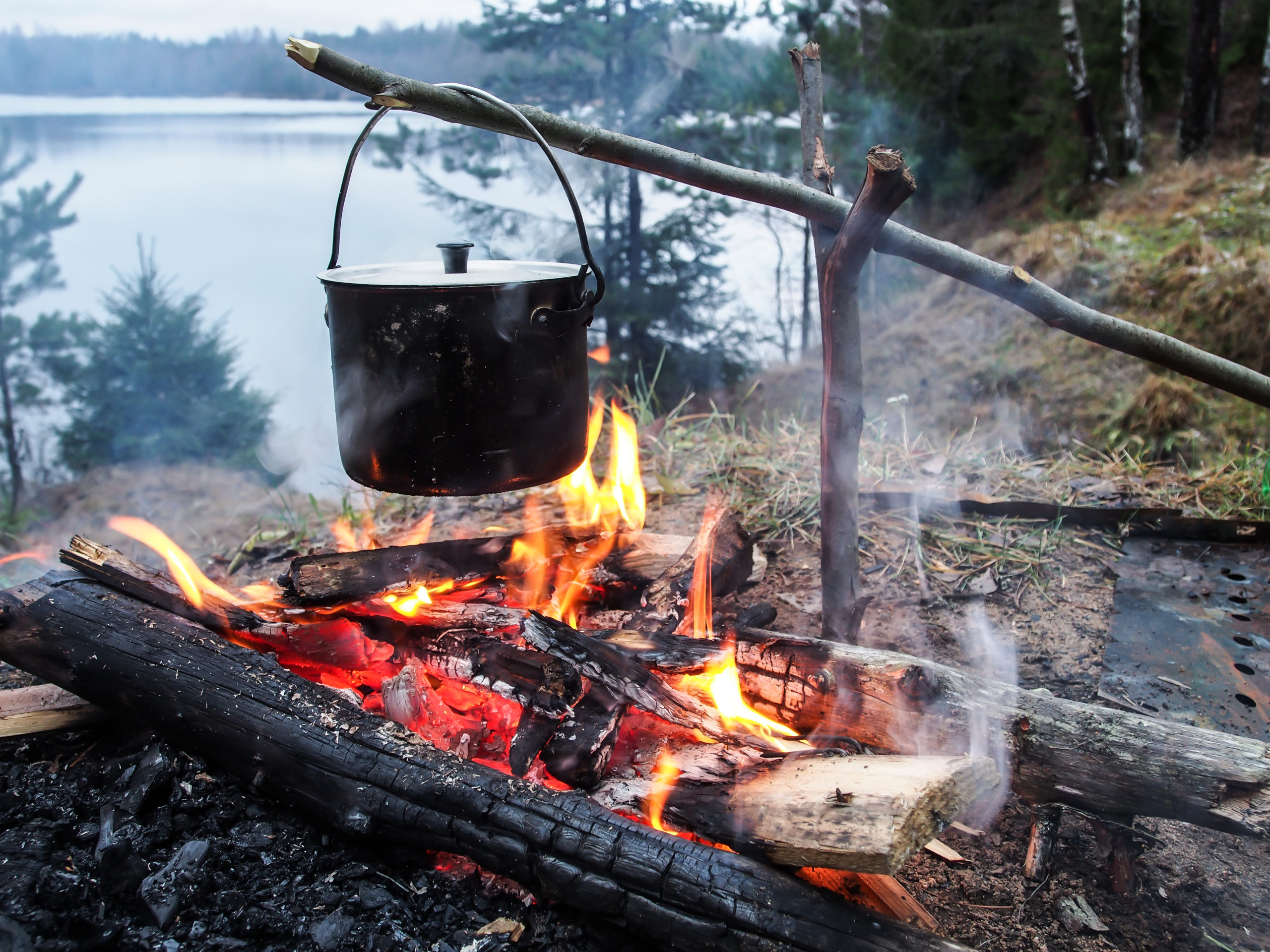 How to Cook Thanksgiving Dinner on a Campfire - RV Trader Blog