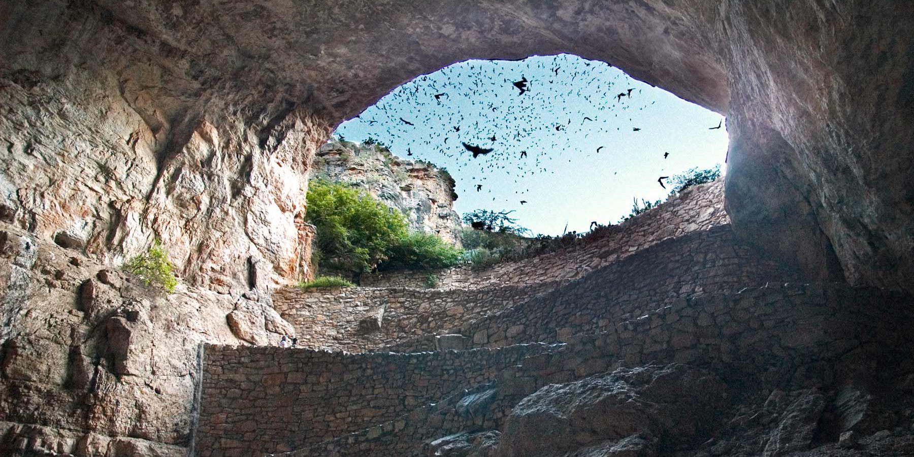 Carlsbad Caverns National Park: RV Camping and Travel Guide - RV Trader ...