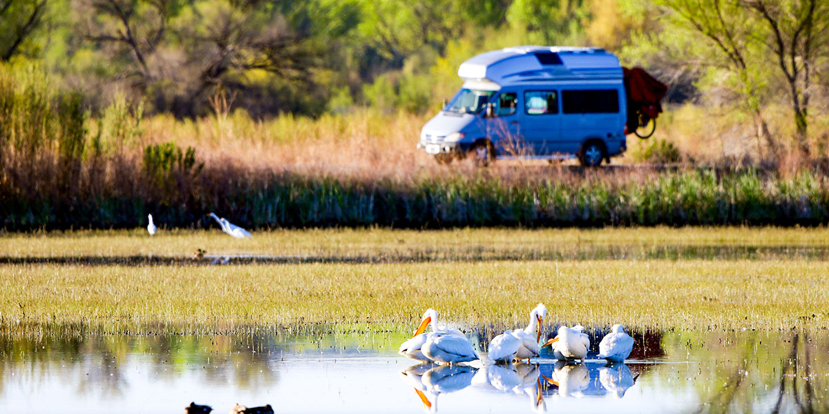 6 Spectacular Sites for Elite RV Bird-Watching - RV Trader Blog