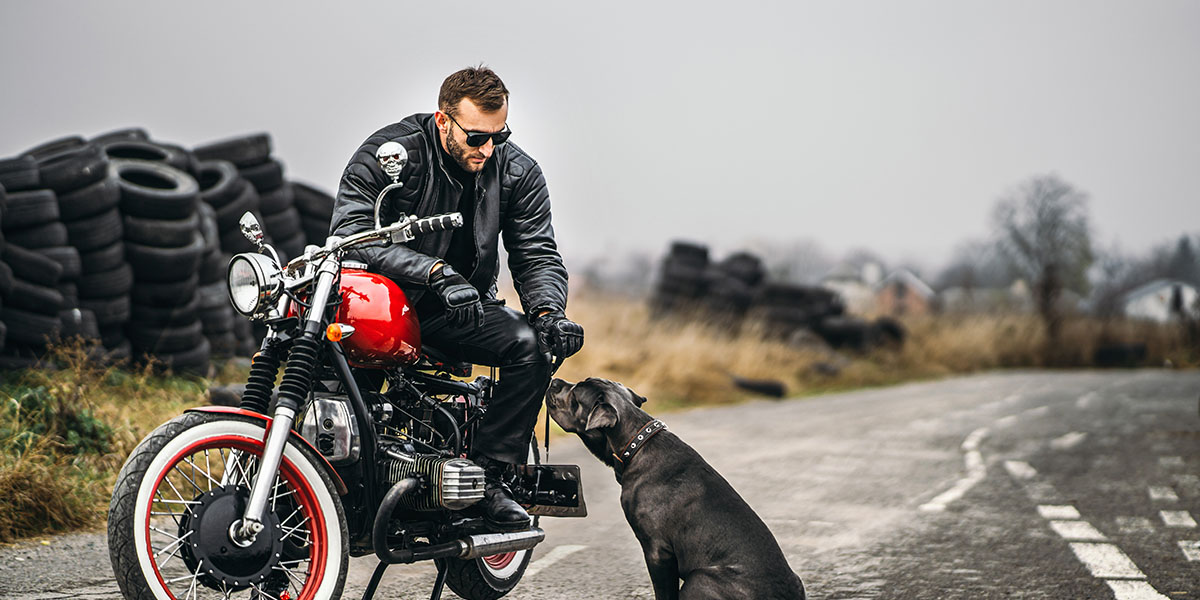 Essential Safety Tips for Motorcycle Riding with Your Pet - Cycle ...