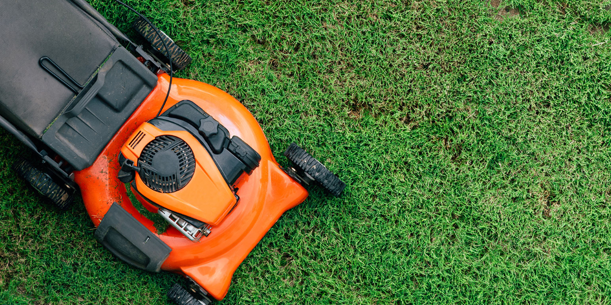 4 Steps for Choosing the Right Type of Mower | Equipment Trader Blog
