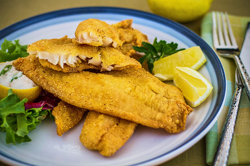 Best Tasting Freshwater Fish for Anglers Who Cook – Boatmart Blog